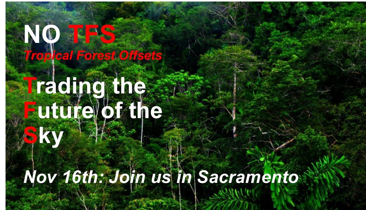 Can We Sell the Air? – Movement Rights